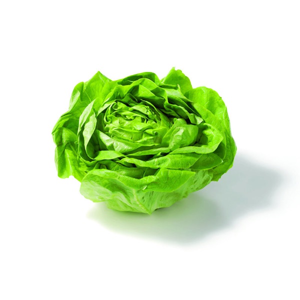 Krop sla (per stuk) – Verhoeven Vlees